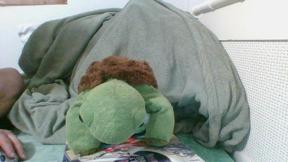 Hiking to a New Life (Chapter 64 posted 12-25-25) Merry Katmas! - Story ...