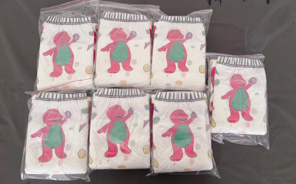 Barney Diapers - Scoop The Poop - [DD] Boards & Chat